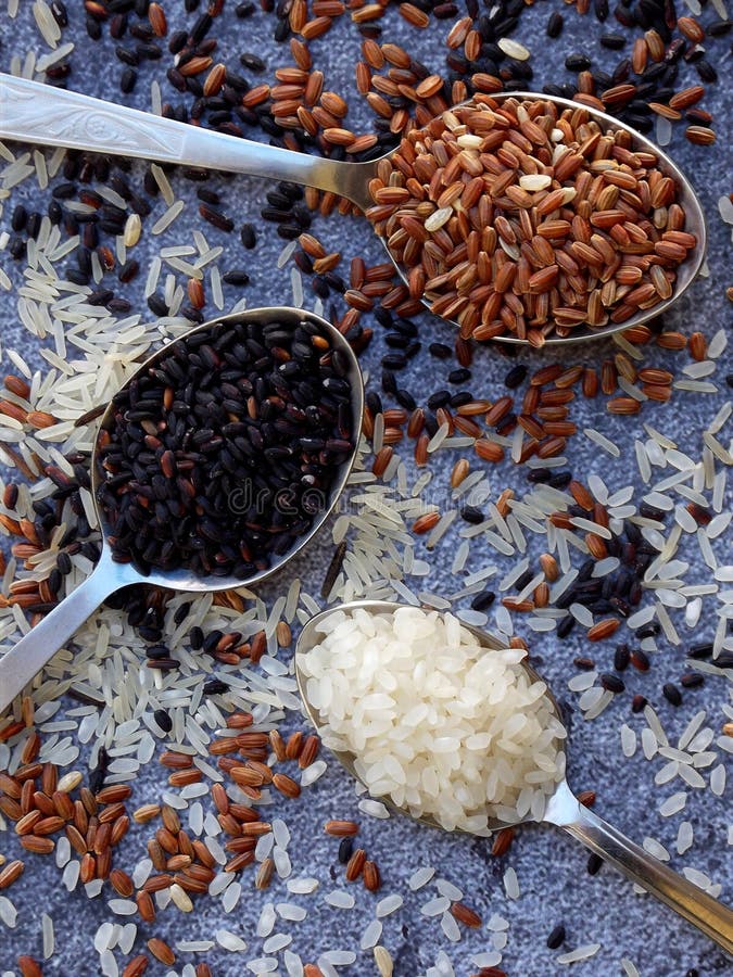 Set of Different Types Rice on Grey Background: White Glutinous, Black ...