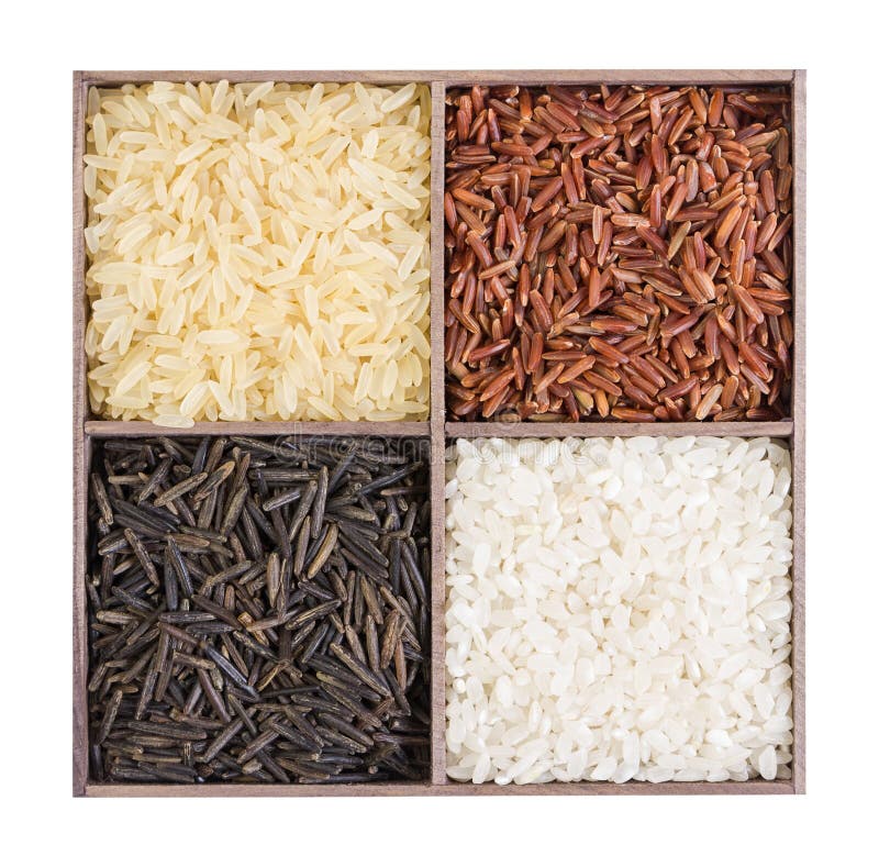 Set of Different Types of Rice Stock Photo - Image of food, assortment ... Set of Different Types of Rice Stock Photo - Image of food, assortment ...