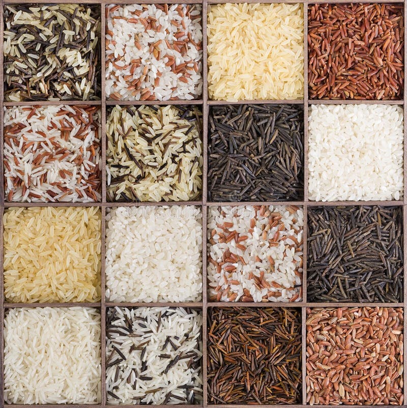 Set of Different Types of Rice Stock Image - Image of food, eating ... Set of Different Types of Rice Stock Image - Image of food, eating ...
