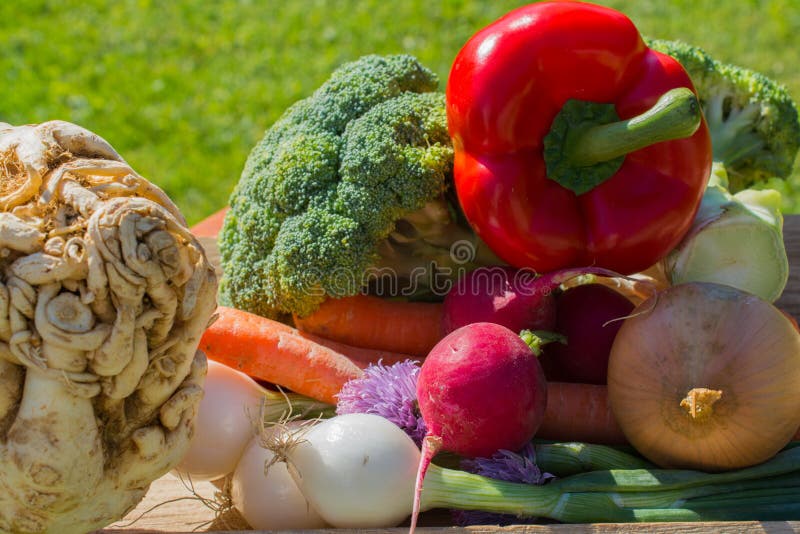 Set of Different Vegetables Stock Photo - Image of carrot, food: 93827868