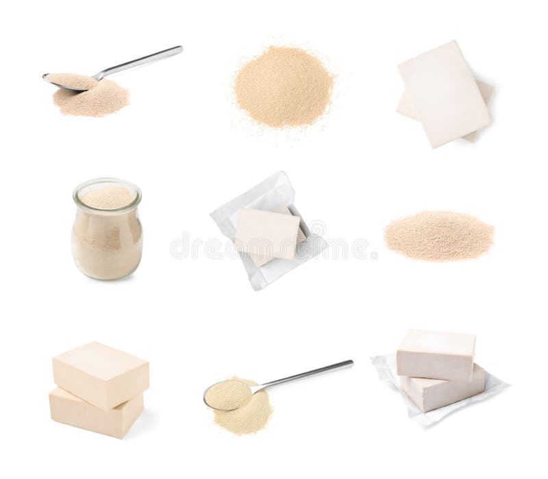 Collage with Sourdough Starter and Different Freshly Baked Bread ...