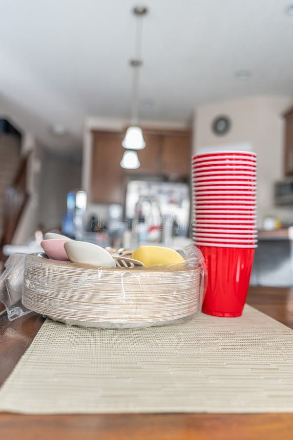 Set of Disposable Dinnerware for Serving at a Party Stock Photo - Image ...