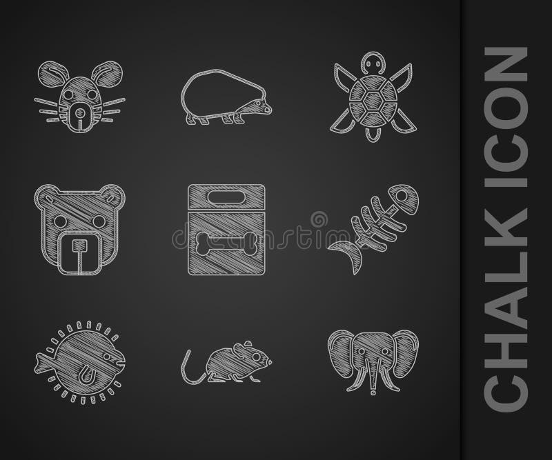 Set Dog Bone, Rat, Elephant, Fish Skeleton, Puffer Fish, Bear Head ...