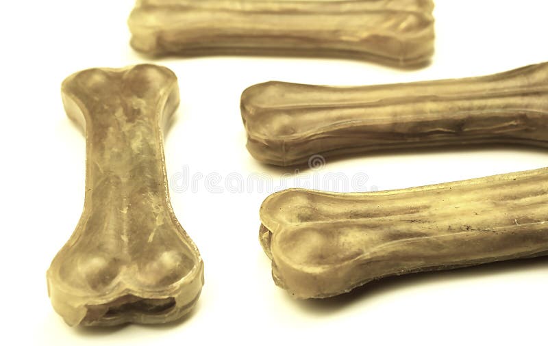 A set of dog bones stock image. Image of looking, fresh - 66798609