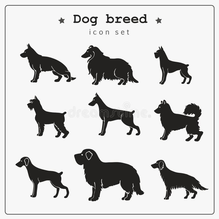 Set of dog breed icons stock vector. Illustration of collie - 53916305