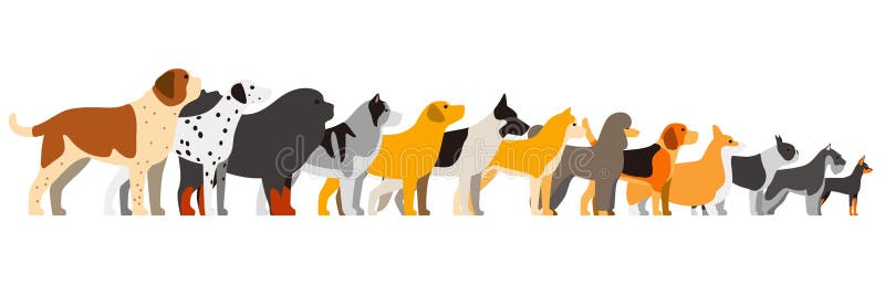 Set of Dog Breeds Standing in a Line, Side View Vector Illustration ...