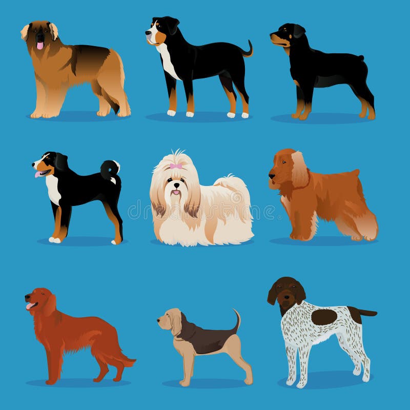 Set of dogs stock illustration. Illustration of animal - 103308943