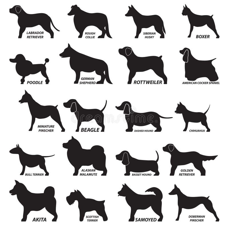 Set of Dogs. Vector Illustration Decorative Background Design Stock ...