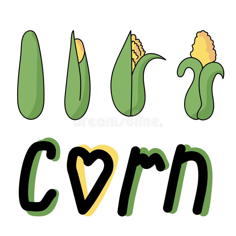 Set of Doodle Colored Illustration Corn, Green and Yellow Hand Draw ...