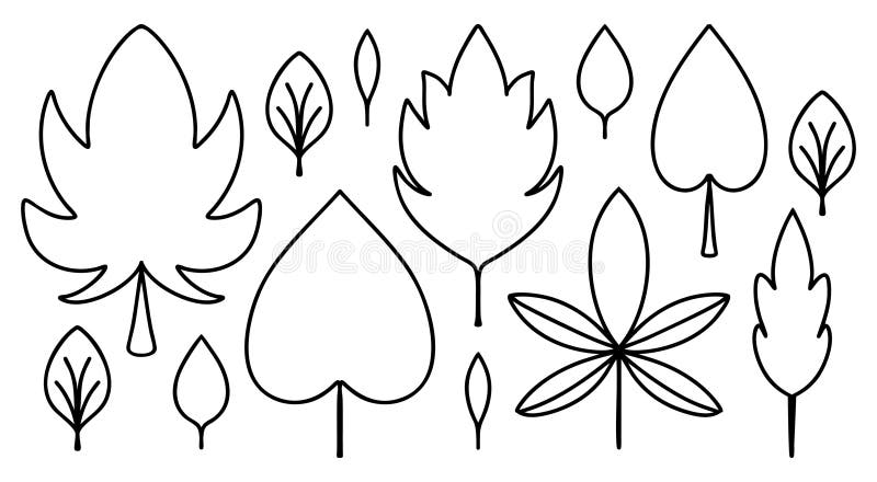 Set Doodle Leaves. Contour Different Forms Botany. Linear Coloring of ...