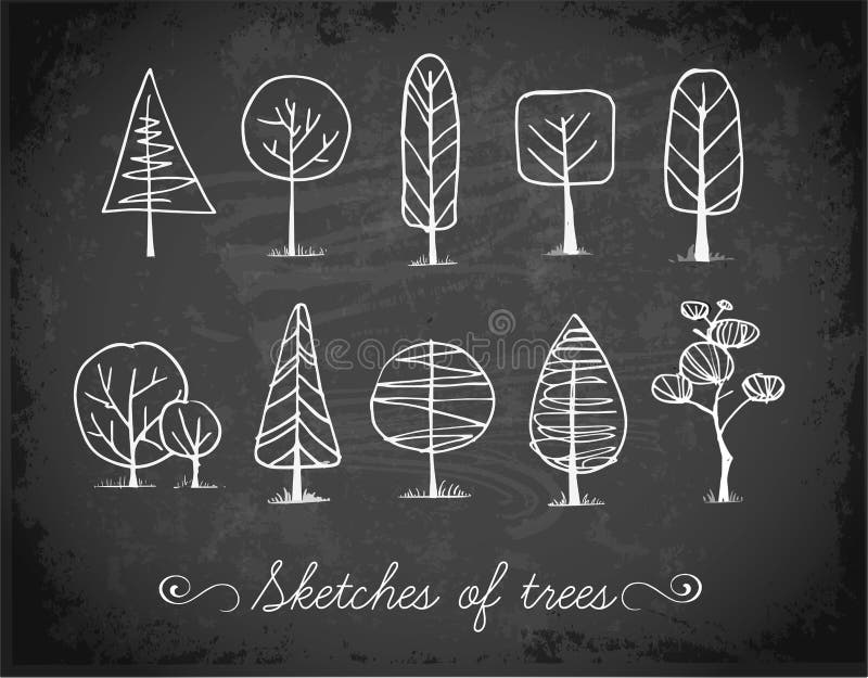 Sketch Trees, Set of Hands Drawn Silhouette Trees, Vector Illustration ...