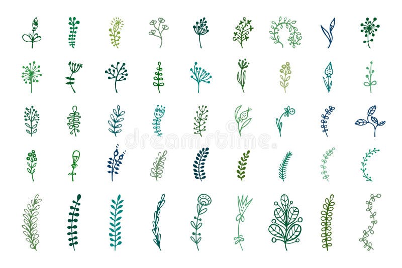 Set of Doodles Branches, Herbs, Flowers, Plants. Stock Vector ...