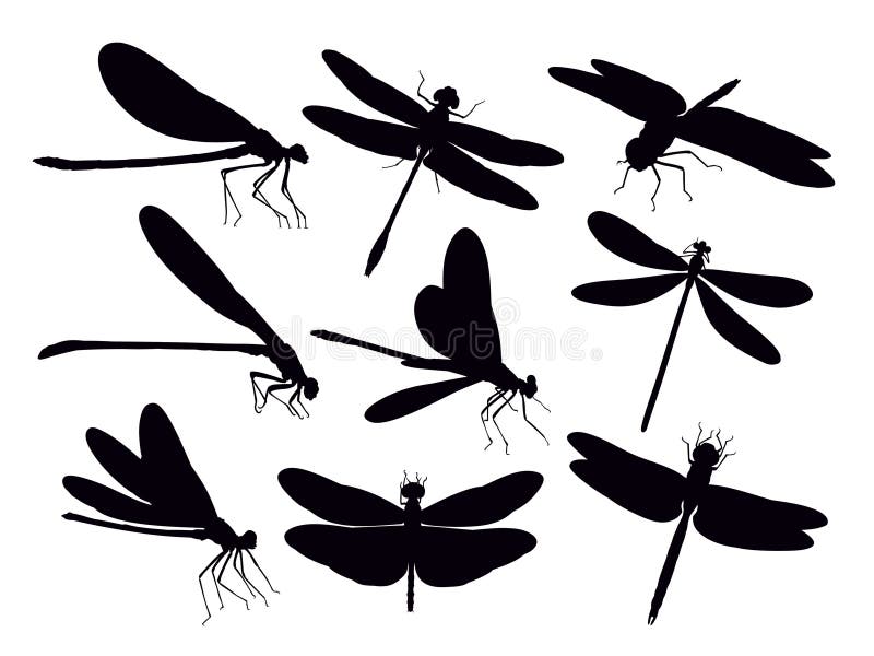 Set Dragonflies Silhouettes. Stock Vector - Illustration of fauna ...
