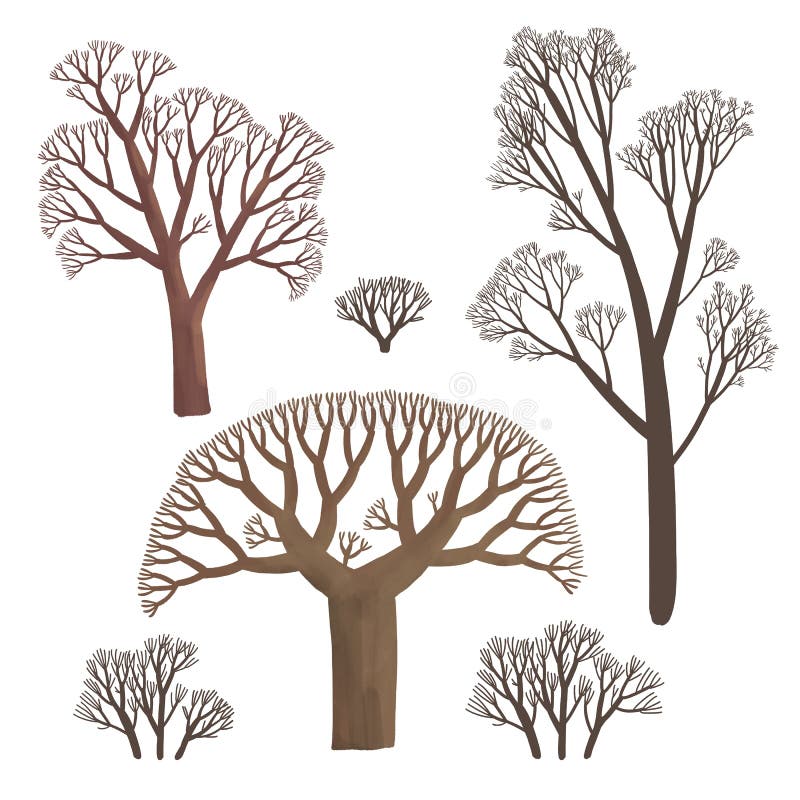 Set of Drawing Simple Brown Bare Trees Isolated on White Background ...
