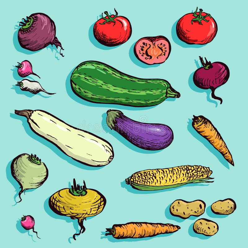Set of Drawing Vegetables and Fruits Stock Vector - Illustration of ...