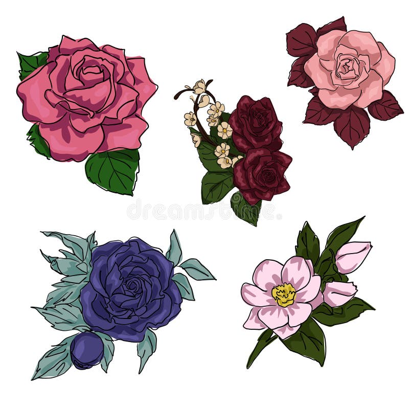 Set of Drawn Colored Flowers. Cartoon Sketch on a White Background ...