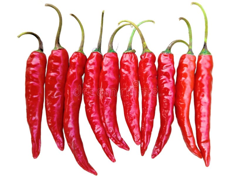 Standing red chili stock photo. Image of fruit, cooking - 358977086