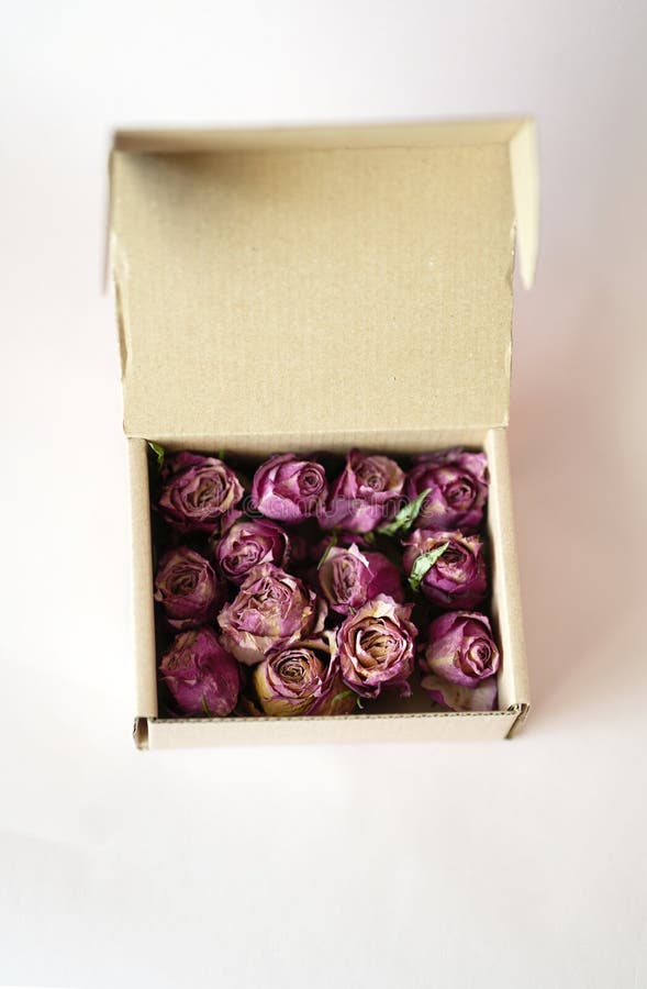 Set of Dried Roses Folded in a Cardboard Box Stock Image - Image of ...