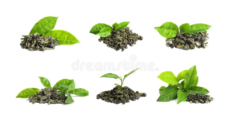 Set of Dry and Fresh Tea Leaves on Background Stock Photo - Image of ...