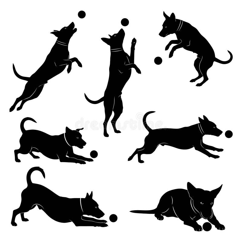 Set of Dynamic Dog Silhouettes Playing with Balls in Various Action ...