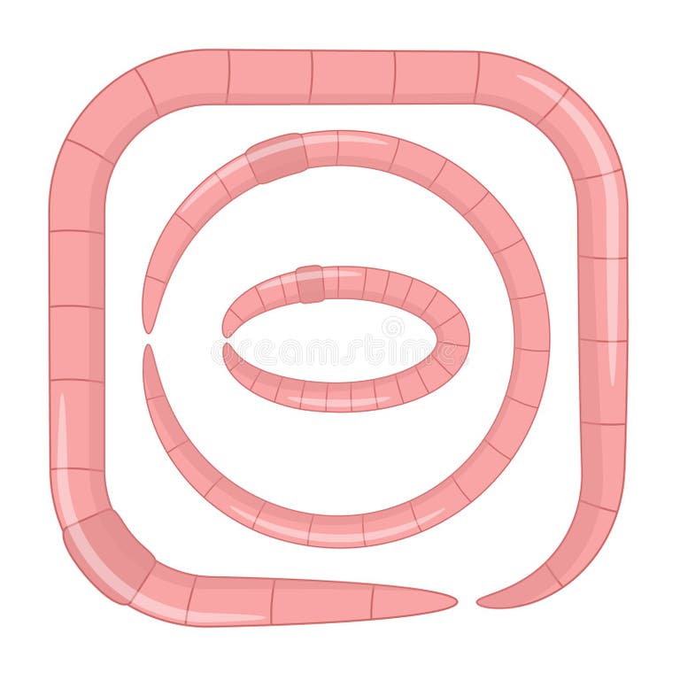 Earthworm Frames Stock Illustrations – 3 Earthworm Frames Stock ...