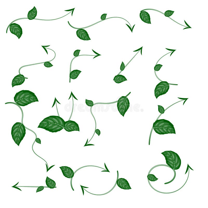Set of Ecological Leaf Arrow on White Background Stock Vector ...