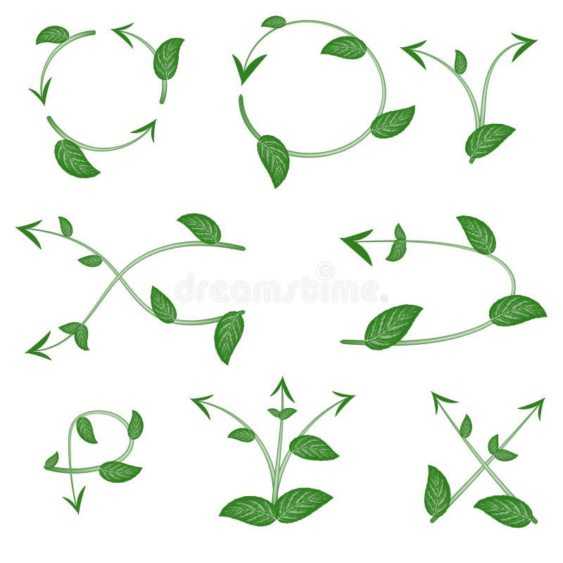 Set of Ecological Leaf Arrow on White Background Stock Vector ...