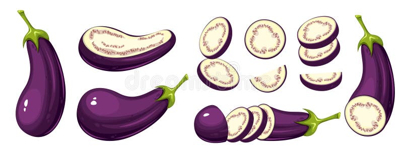 Set of Eggplants. Ripe Vegetable, Eggplant Whole, Sliced ??into Rings ...