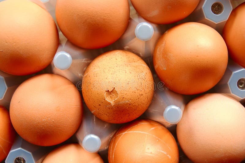 A Set Of Eggs Picture. Image: 5579147