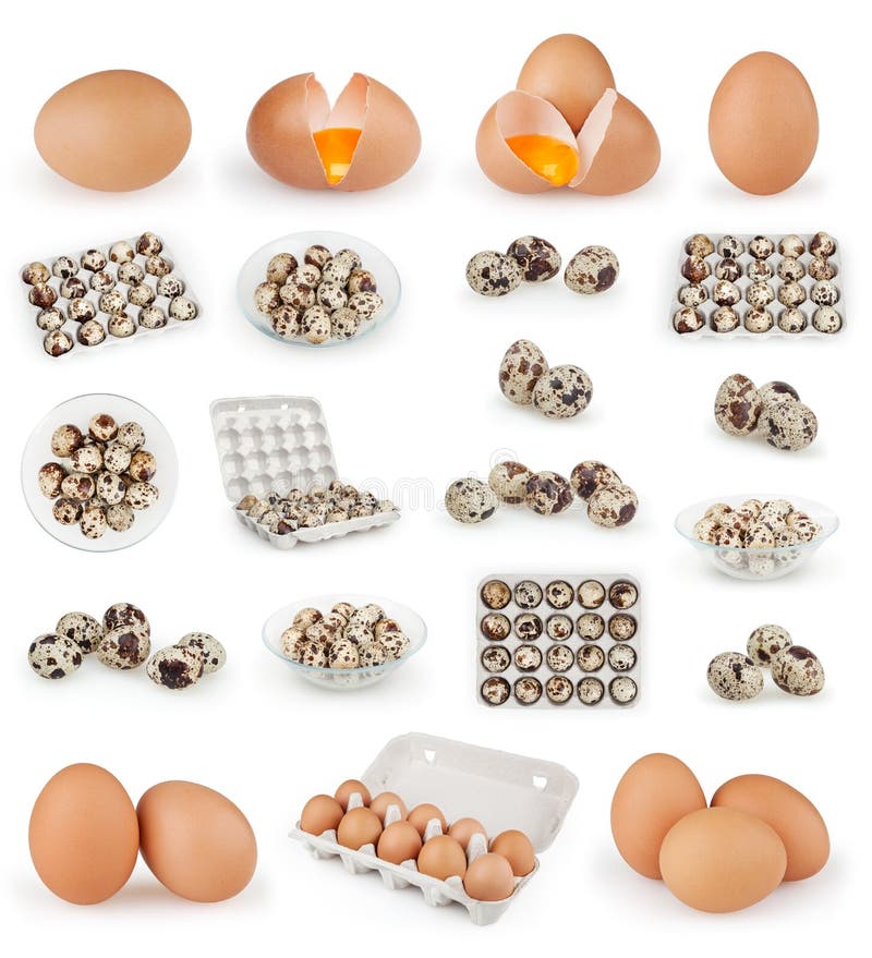 Set of Eggs Isolated on White Stock Photo - Image of pile, food: 89739508