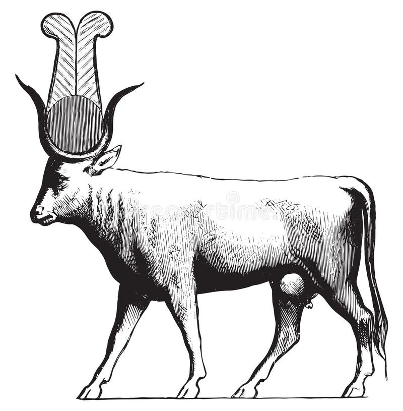 Cow of Isis. Set of Egyptian Labels and Elements. Vector Set ...