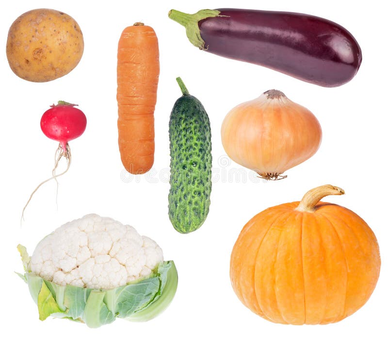 Set of Eight Vegetables Isolated on White Stock Image - Image of onion ...