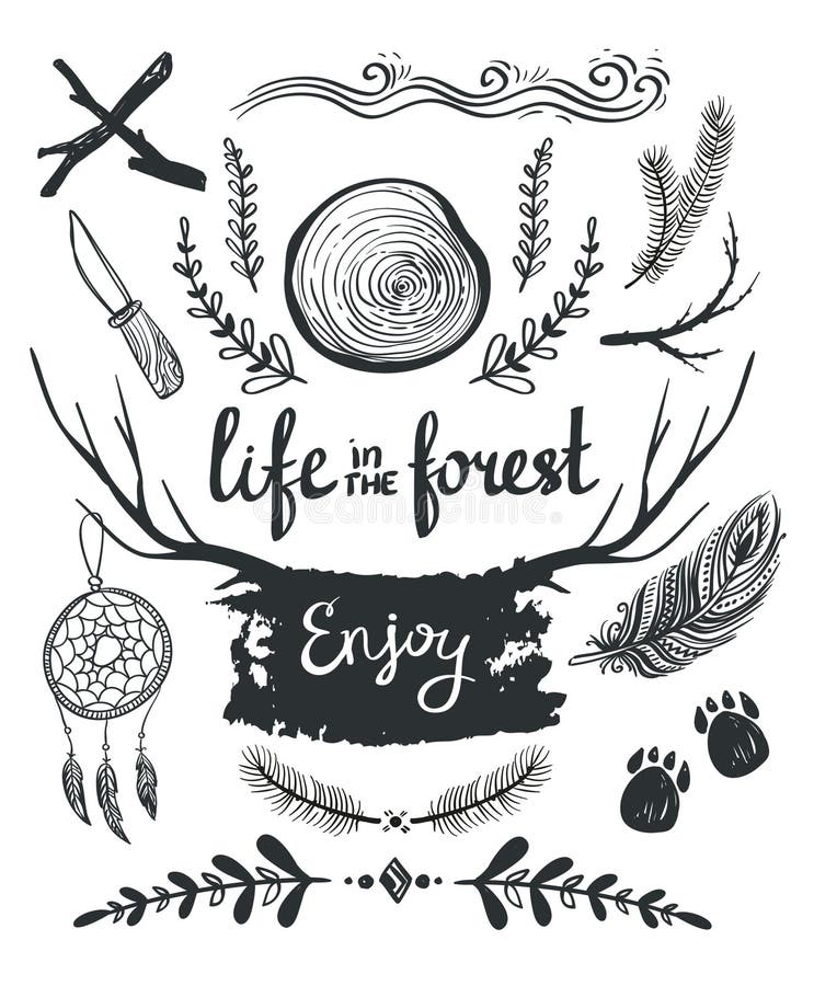 Set of Elements and Clip Art Themed Around Life in the Forest. Stock ...