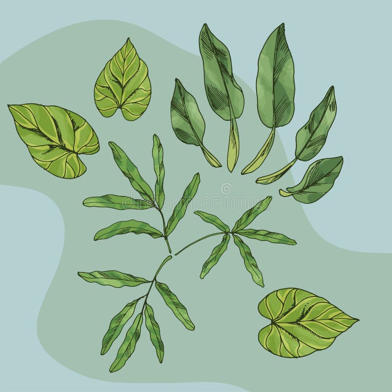 Set of Elements of Pond Plant Stock Vector - Illustration of japanese ...