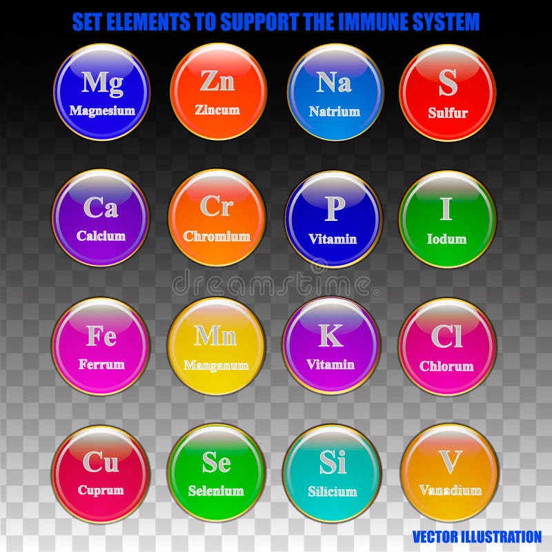 Set Elements and Vitamins To Support Immune System. Stock Vector ...