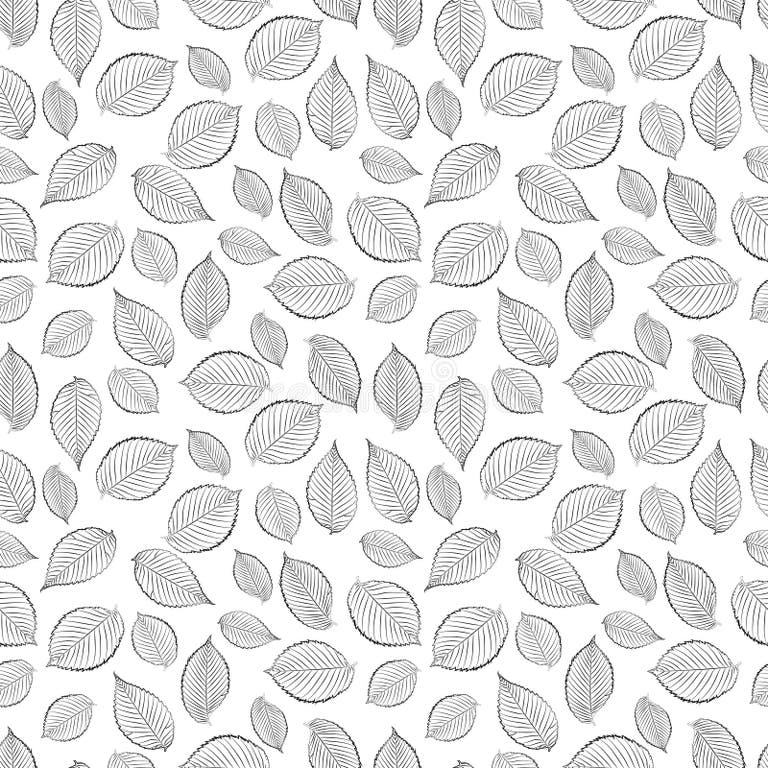A Set of Elm Leaves Seamless Pattern, 1000x1000, Vector Graphics. Stock ...