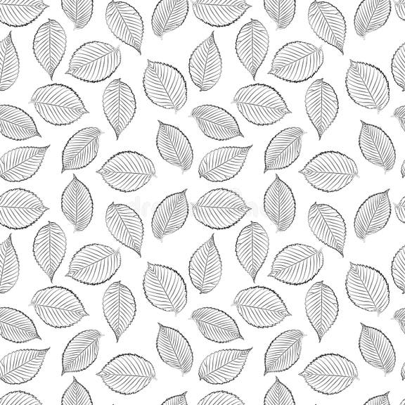 A Set of Elm Leaves Seamless Pattern, 1000x1000, Vector Graphics. Stock ...
