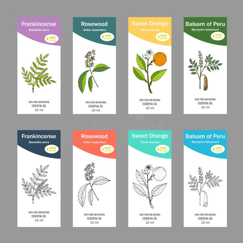 Set of Essential Oil Labels Stock Vector - Illustration of healthy ...