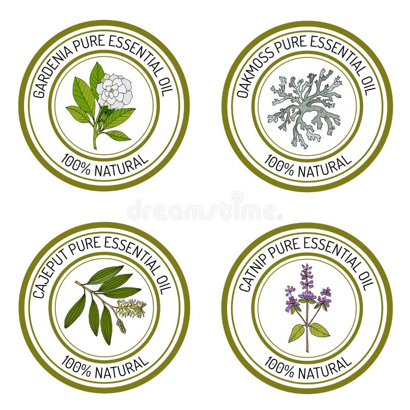 Set of Essential Oil Labels Stock Vector - Illustration of essential ...