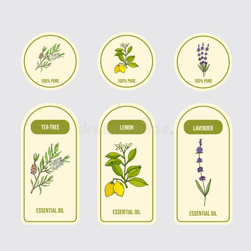 Set of Essential Oil Labels Stock Vector - Illustration of essence ...