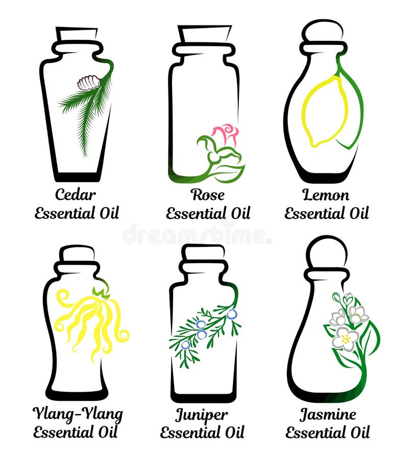 Vector Set of Essential Oils Stock Vector - Illustration of lifestyles ...