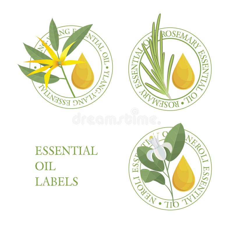 Set of Essential Oils Labels Stock Vector - Illustration of labels ...