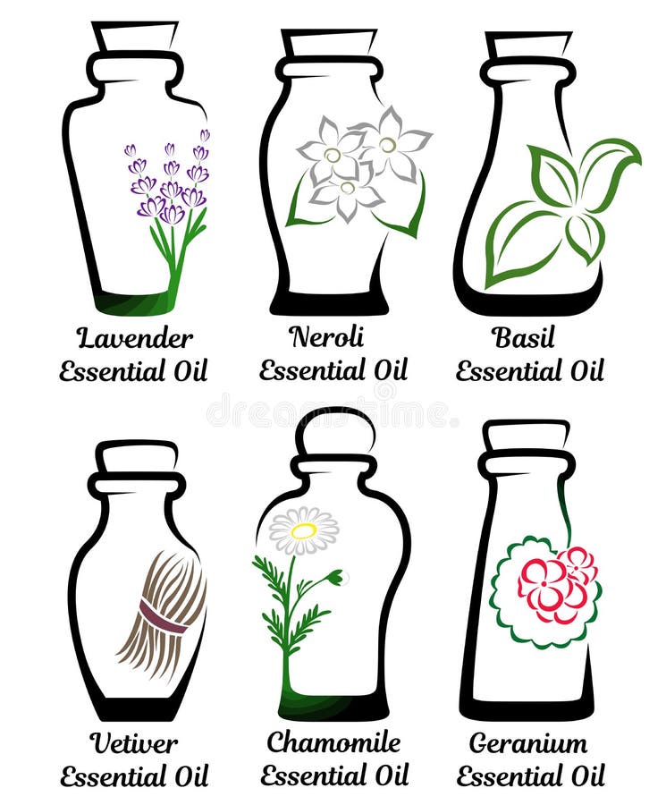 Vector Set of Essential Oils Stock Vector - Illustration of lifestyles ...