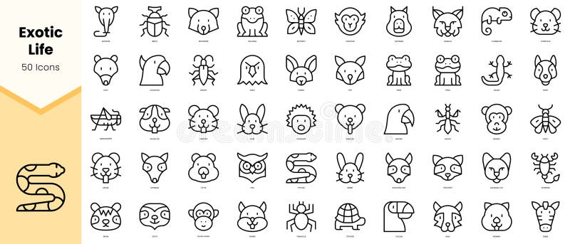 Set of Exotic Life Icons. Simple Line Art Style Icons Pack Stock Vector ...