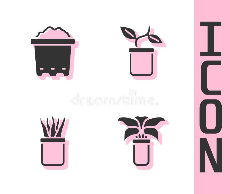 Set Exotic Tropical Plant in Pot, Pot with Soil, Plant and Icon. Vector ...