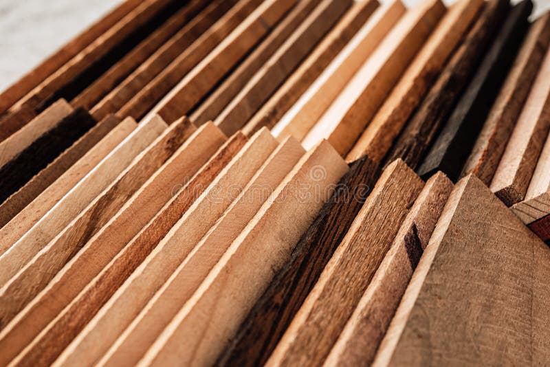 Set of Exotic Valuable Wood for the Catalog, Texture and Structure of ...