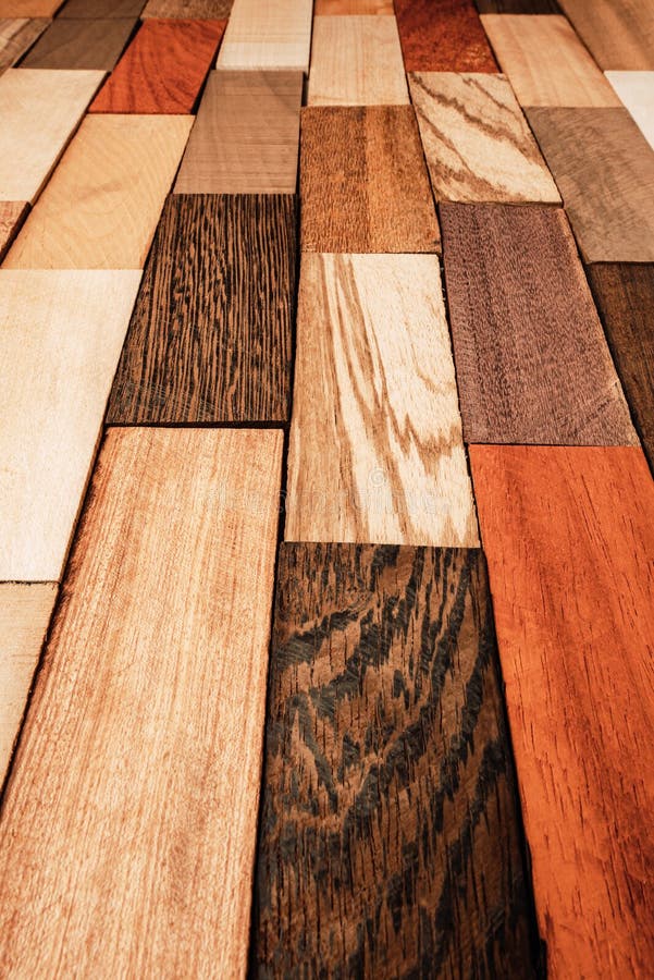 Set of Exotic Valuable Wood for the Catalog, Texture and Structure ...