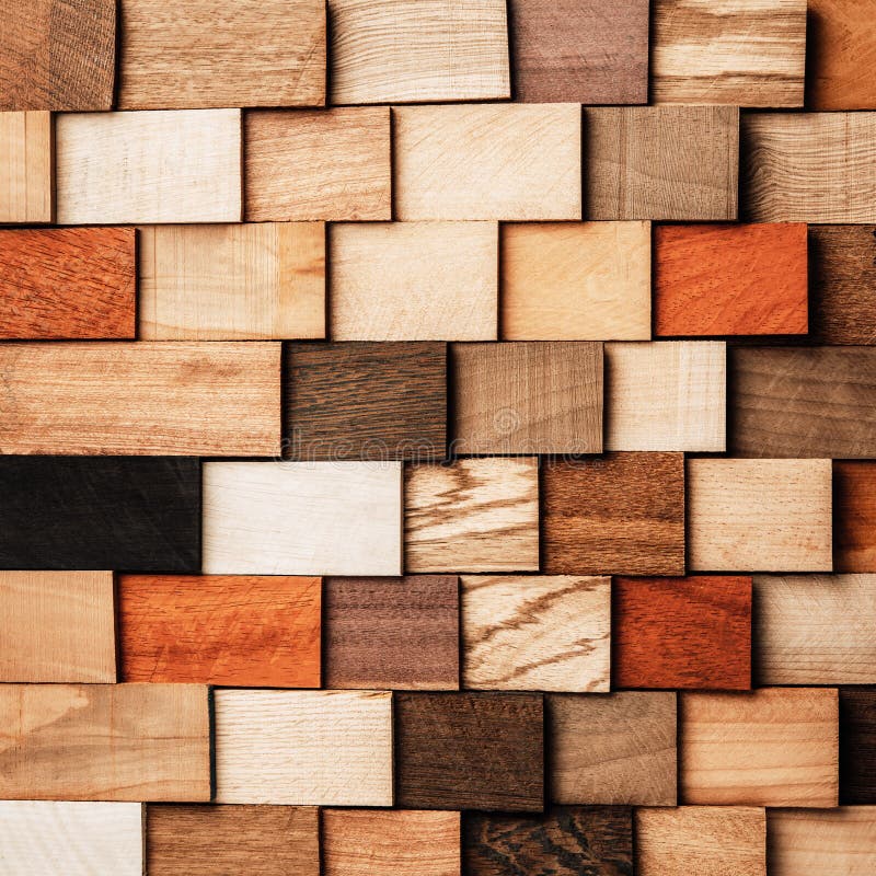 Set of Exotic Valuable Wood for the Catalog, Texture and Structure ...