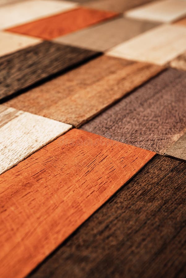 Set of Exotic Valuable Wood for the Catalog, Texture and Structure ...
