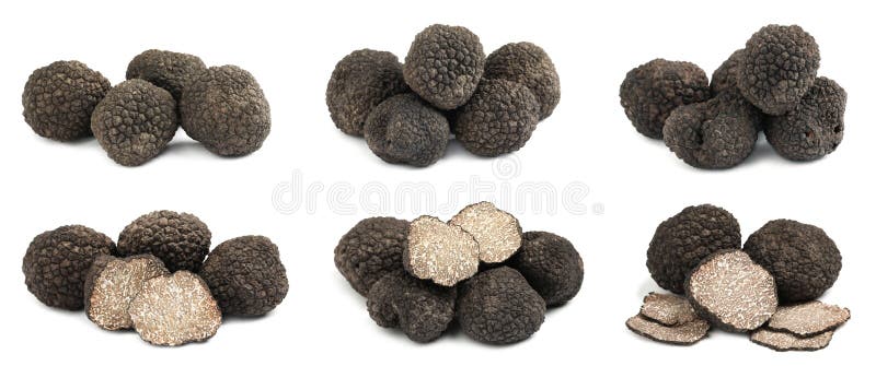 Set with Expensive Delicious Black Truffles on White Background. Banner ...